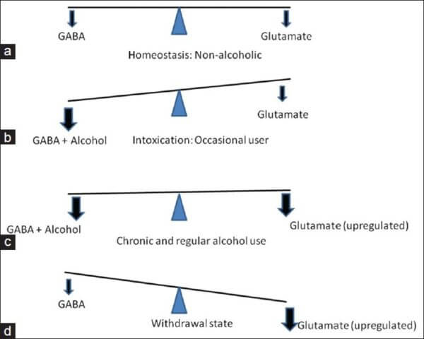 Topamax and Alcohol: What You Should Know – Fit Recovery