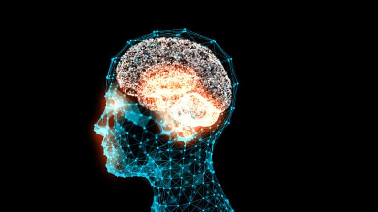 GABA and Alcohol: GABA Supplement for Alcohol Withdrawal – Fit Recovery