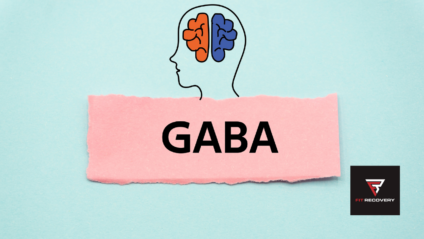 The GABA Deficiency-Alcoholism Connection – Fit Recovery